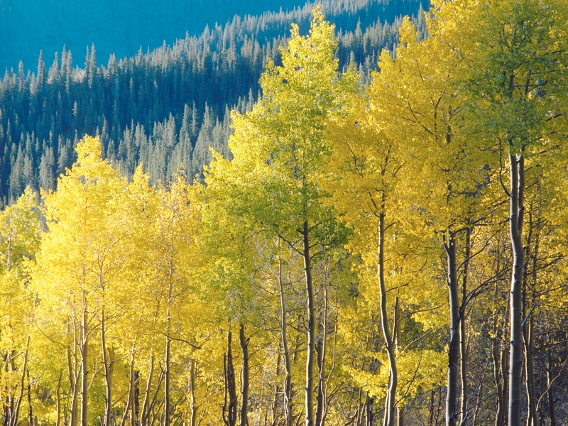 Fall Activities in Summit County - Breckenridge Realtor Kelli Bennett